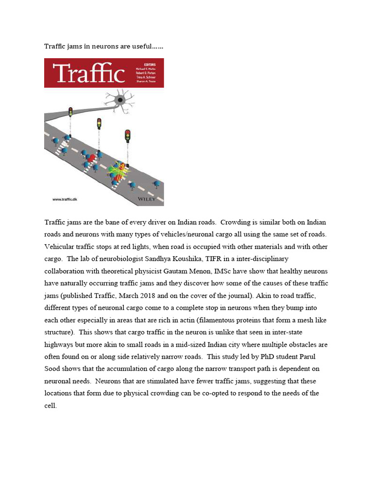 Traffic Jams in Neurons Are Useful | PDF