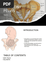Four Types of Pelvis Explained | PDF | Pelvis | Anatomy