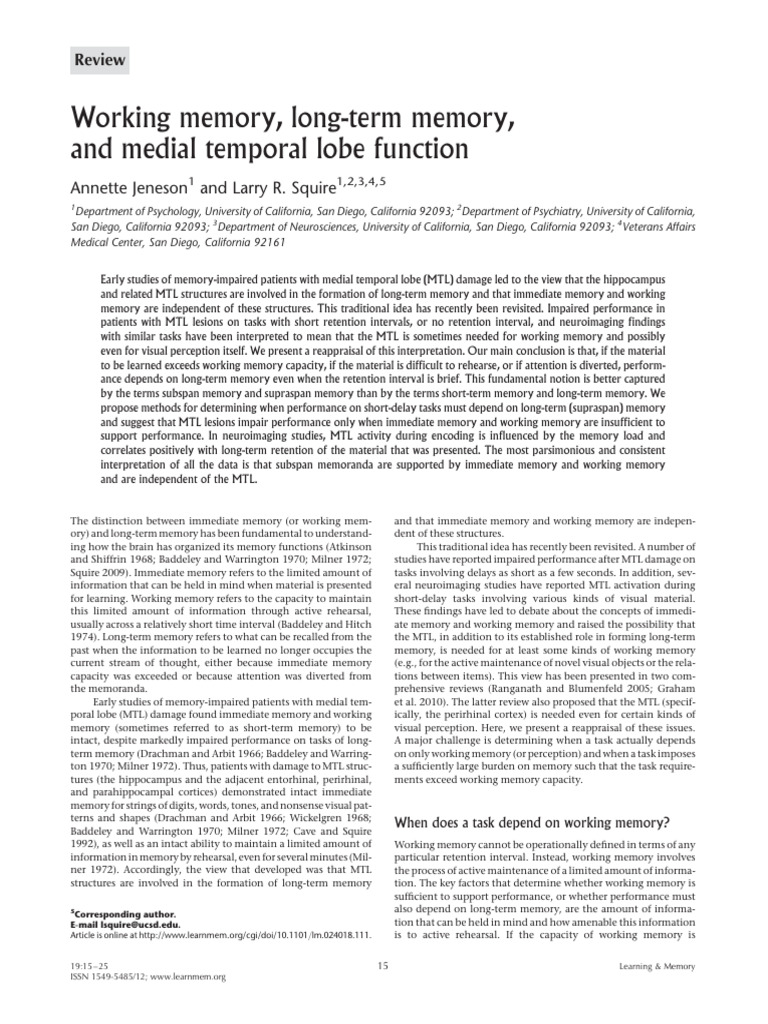 Working Memory Long-Term Memory | PDF | Memory | Working Memory