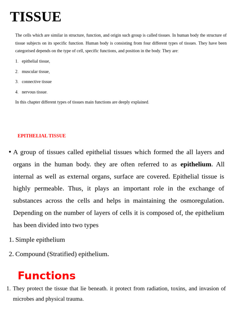 Types and Functions of Human Tissues | PDF | Epithelium | Connective Tissue