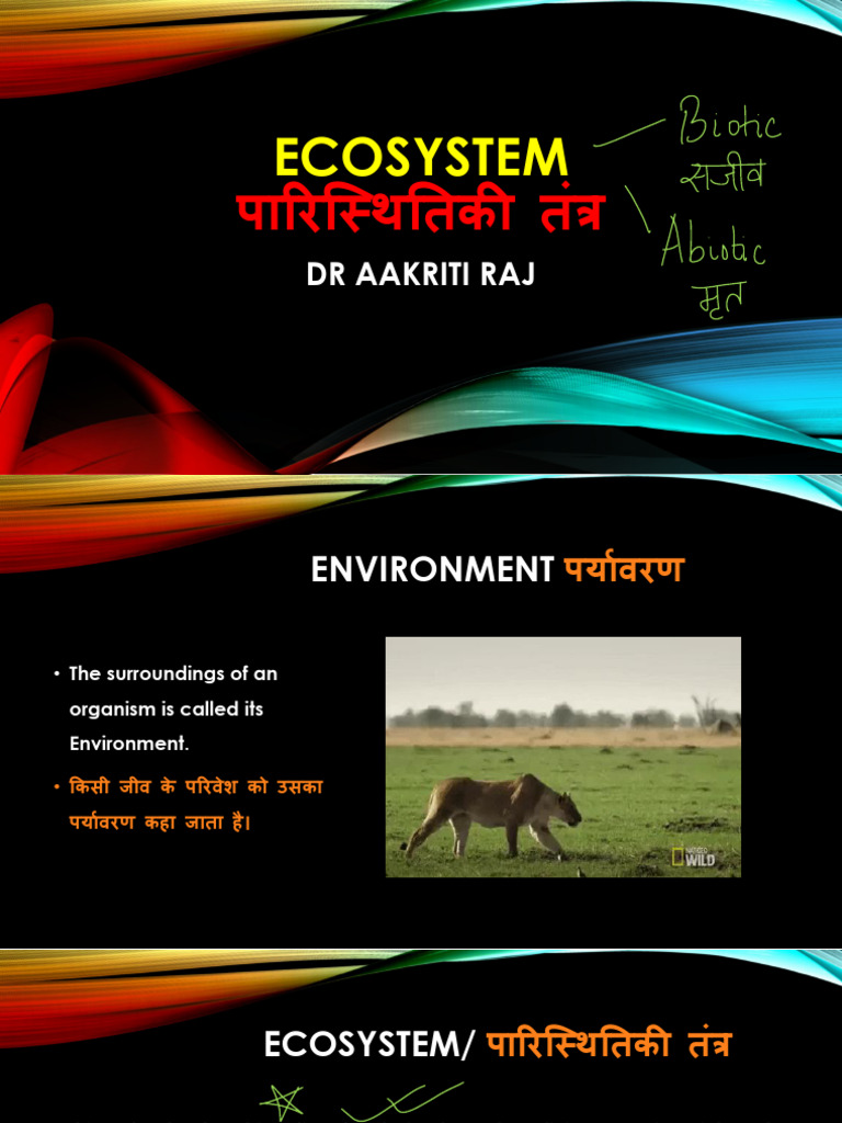 Ecosystem 20210205053816 | PDF