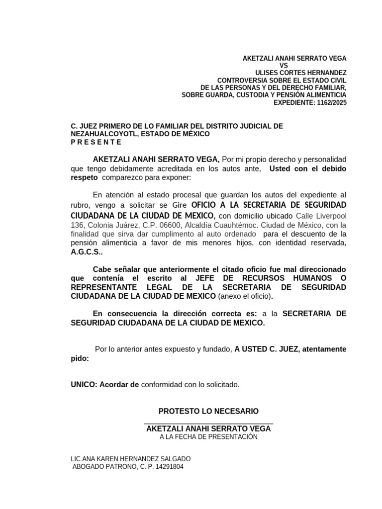 Solicitar Oficio | PDF