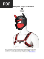 ¿Qué Es Pegging | PDF | Sexo anal | Relaciones sexuales