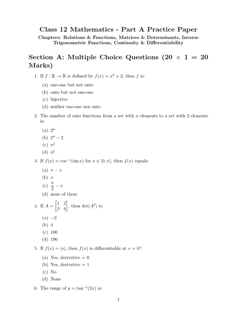 Class 12 Math Practice Paper: Functions & More | PDF | Function ...