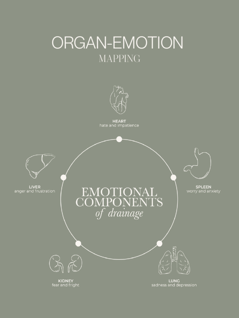Body-Emotion Connection Guide | PDF | Fear | Meditation
