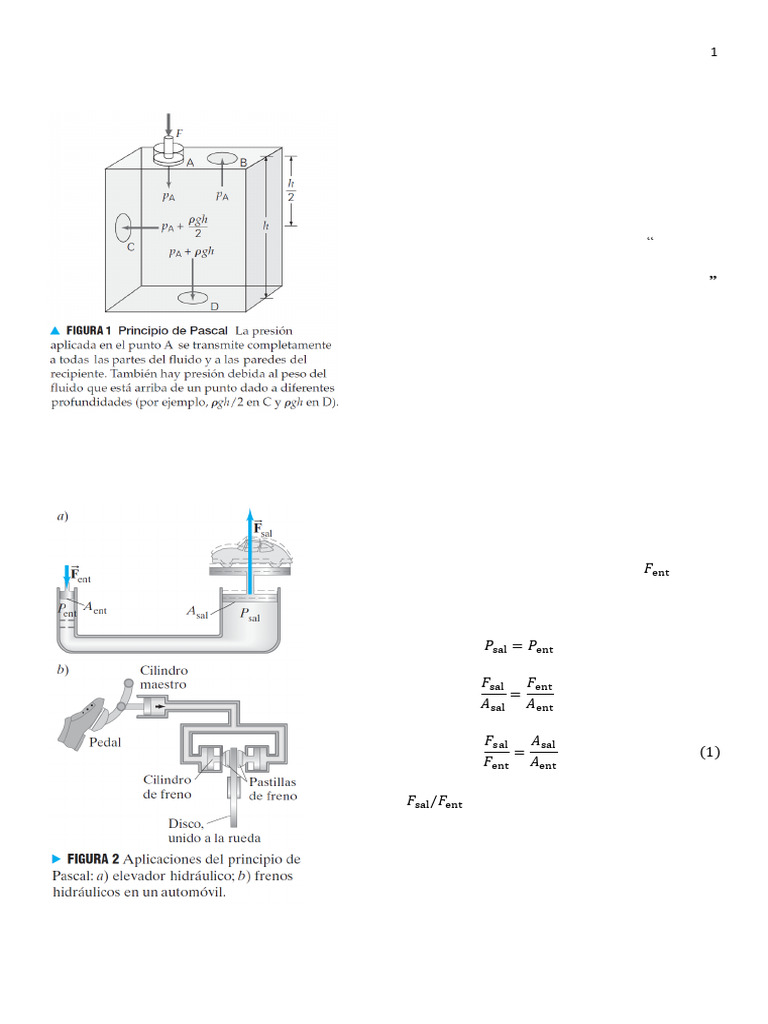 Principios de Pascal y de Arquímides - Actividad Autónoma Previa | PDF ...