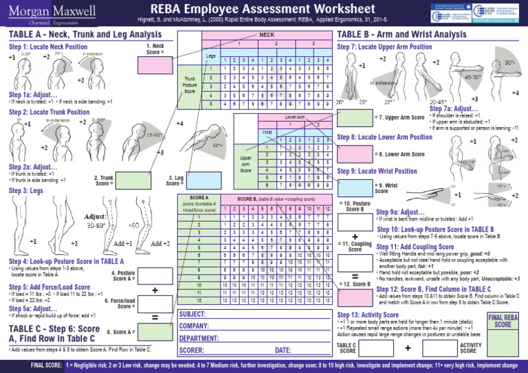 Rapid Entire Body Assessment REBA PDF Worksheet | PDF