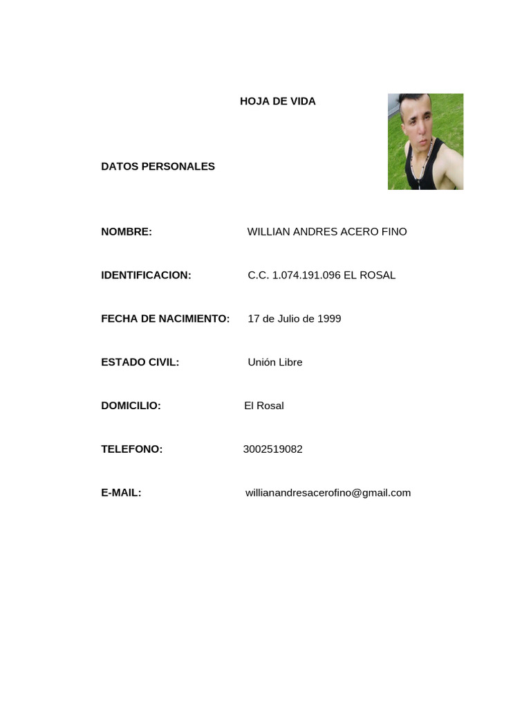 Hoja de Vida Andres Ortiz | PDF