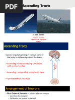 Ascending and Descending Tracts | PDF | Spinal Cord | Central Nervous System