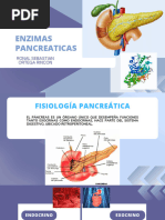 FRUTENZIMA: Usos y Beneficios Clínicos | PDF | Páncreas | Órgano (anatomía)