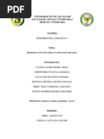 Fases y tipos de fisión binaria | PDF | Biología Celular) | Microorganismo