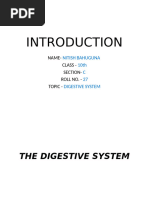 Blank 4 Panel Comic Strip | PDF | Biology | Digestive System