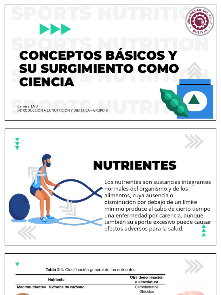 Conceptos Básicos de Fundamentos de La Alimentación | PDF | Alimentos ...