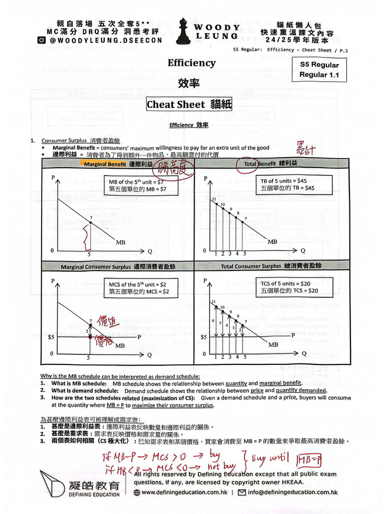 S5 Econ Woody Efficiency Notes | PDF