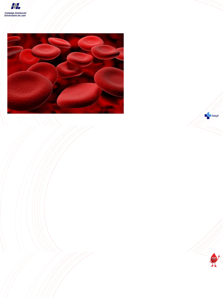 Anemia S | PDF | Anemia | Especialidades Medicas