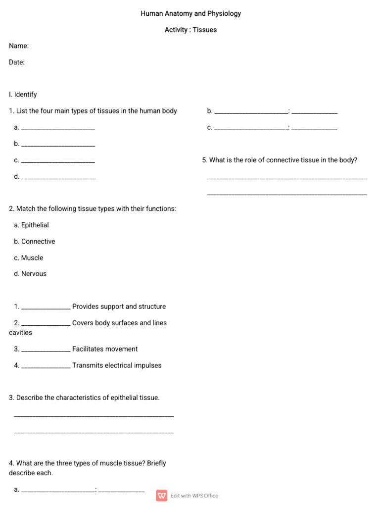 Tissues Activity LEC | PDF