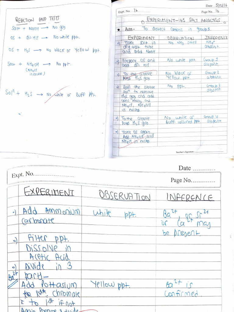 Practical Chemestry, Salt Analysis Class 11 | PDF