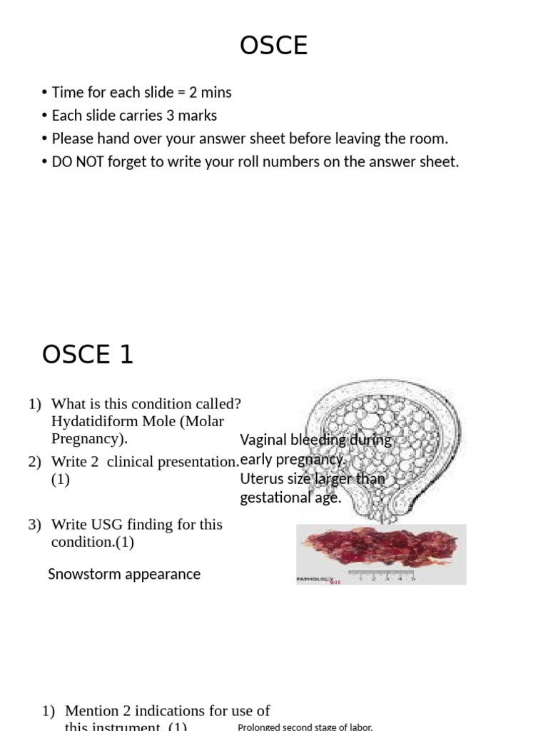 OECE 1 Answer | PDF