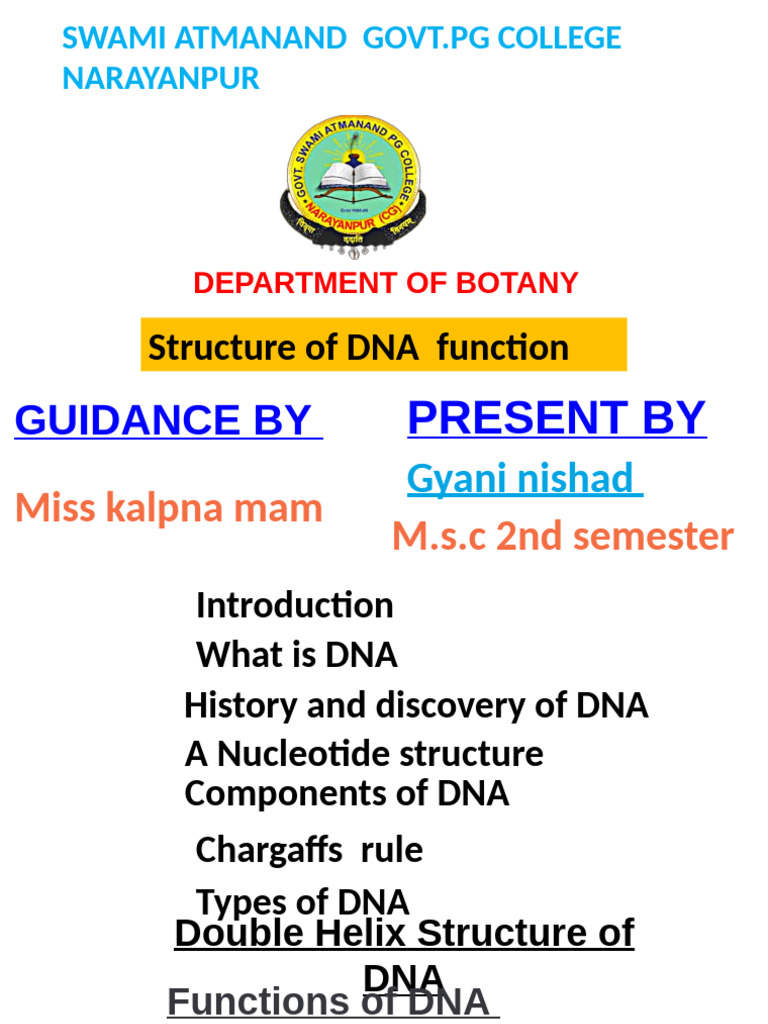 Structure and Functions of DNA | PDF | Dna | Nucleic Acid Double Helix