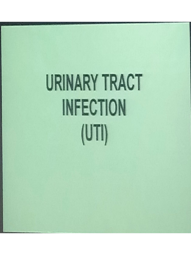UTI in Pregnancy | PDF