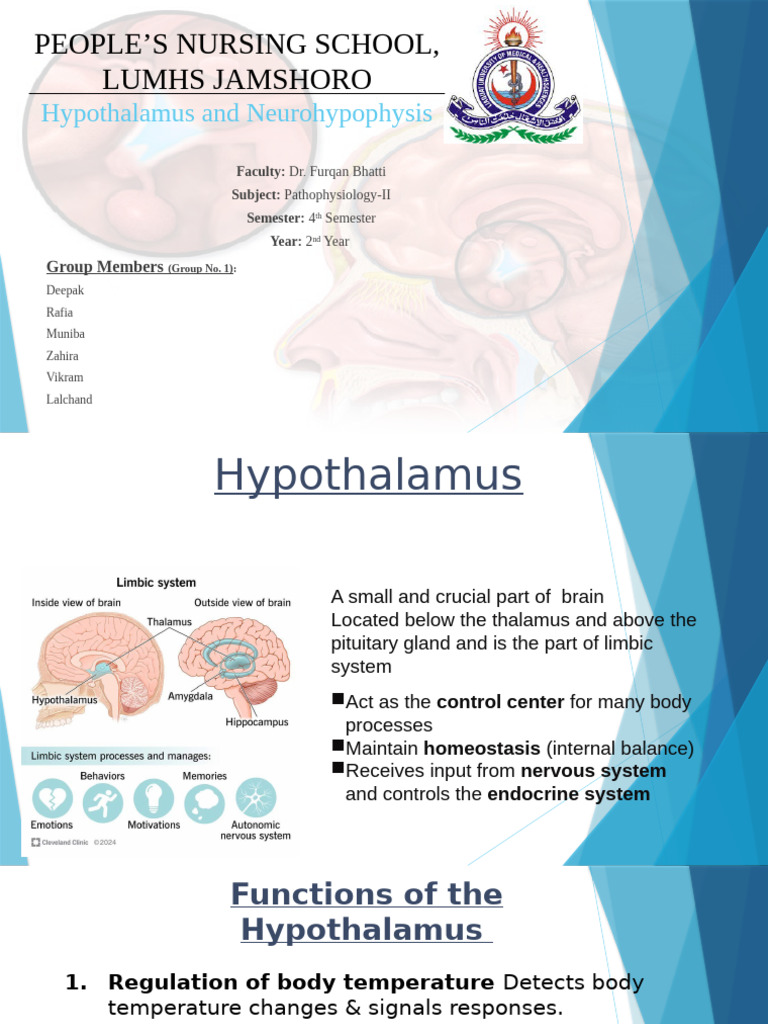 Hypothalamus Functions and Disorders | PDF | Hypothalamus | Pituitary Gland