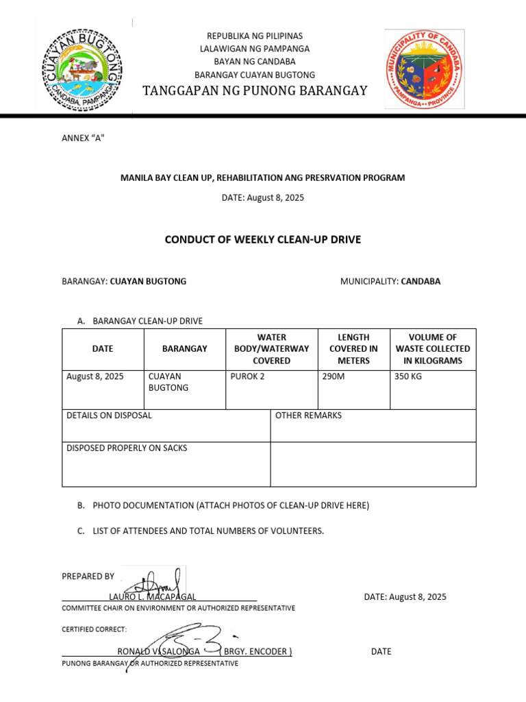 Manila Bay Clean-Up Drive Report | PDF