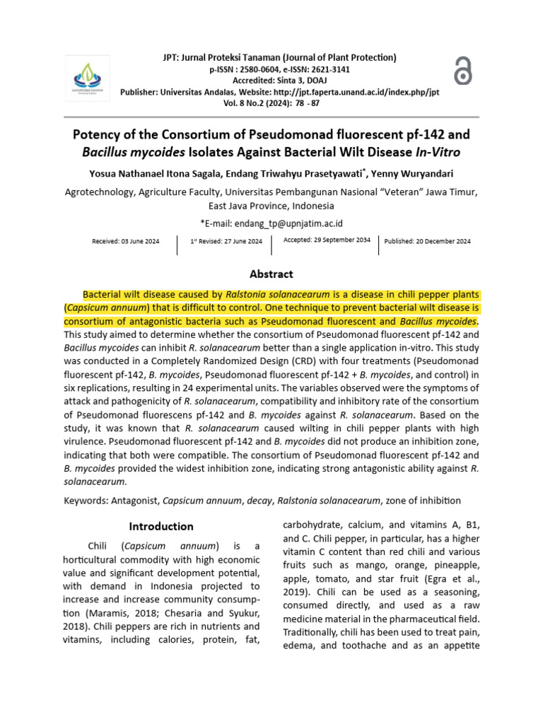 Inhibition of Bacterial Wilt in Chili | PDF | Bacteria | Pseudomonas