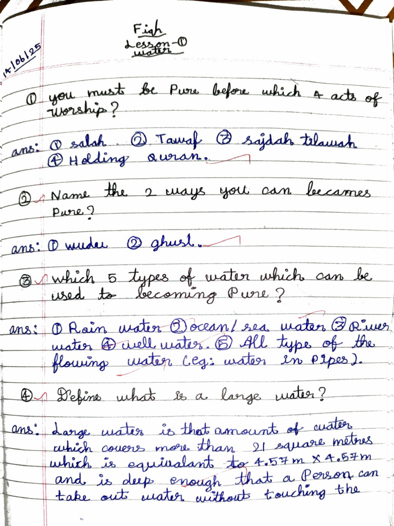 Islamic Studies Notes | PDF