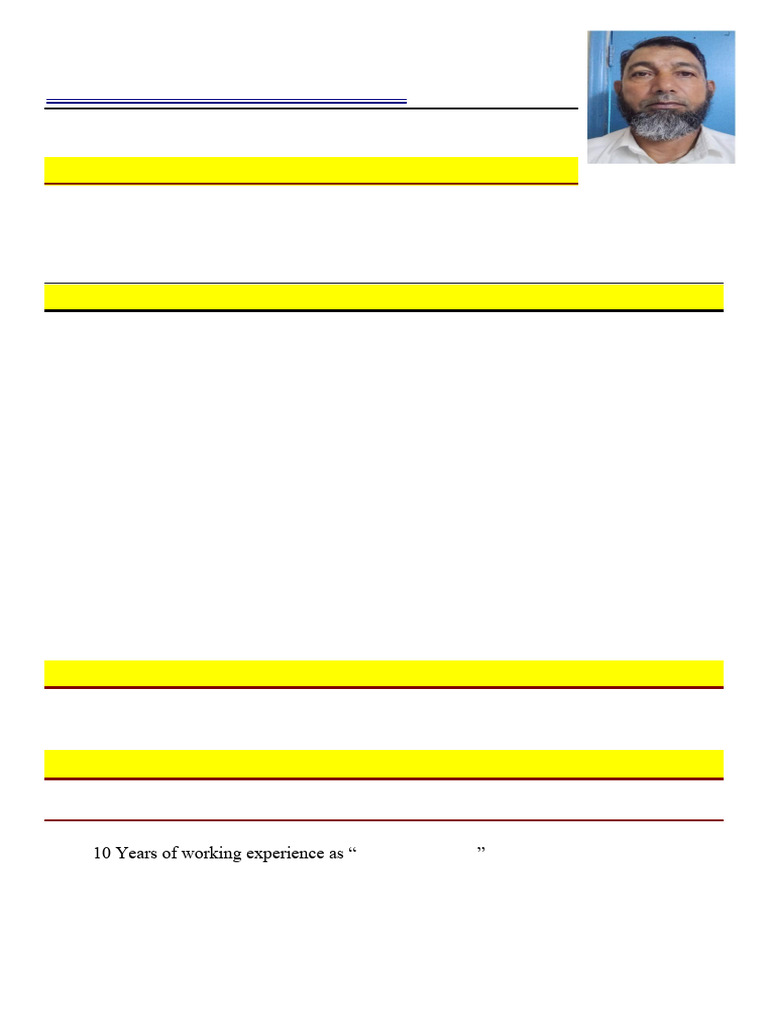 Muhammad Javed CVVVV | PDF