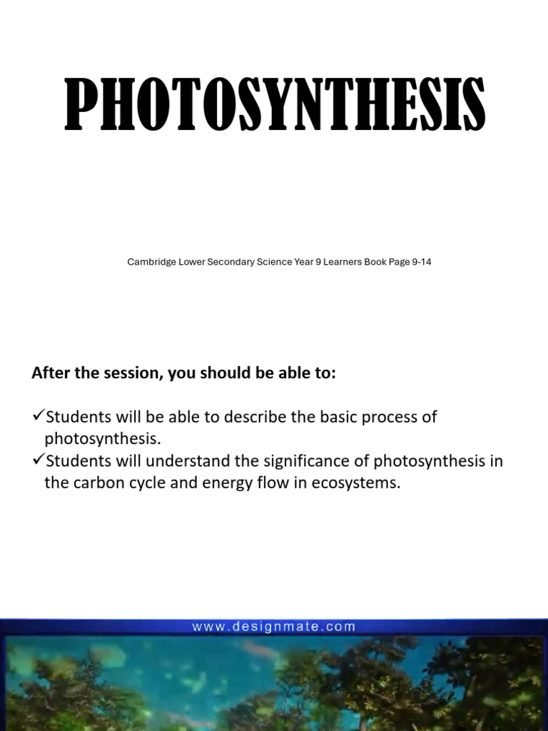 Photosynthesis and Carbon Cycle | PDF | Photosynthesis | Chloroplast