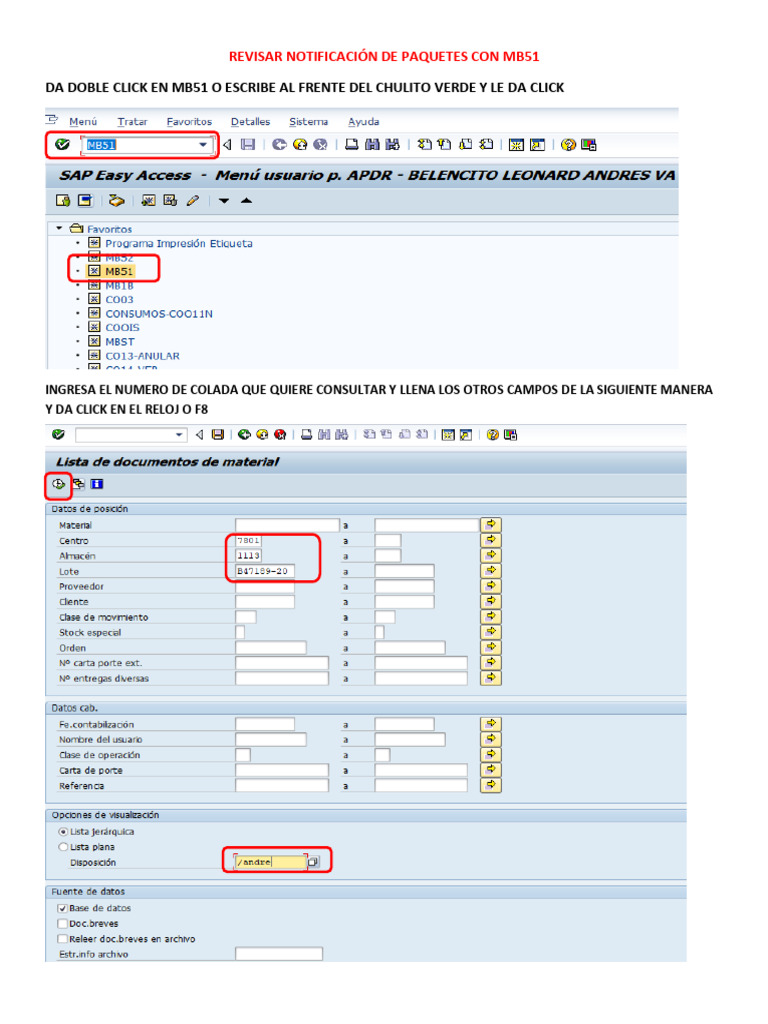 Consulta de Movimientos en MB51 | PDF