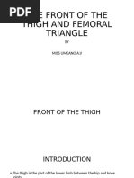 Palpation Techniques for Lower Extremities | PDF | Foot | Knee