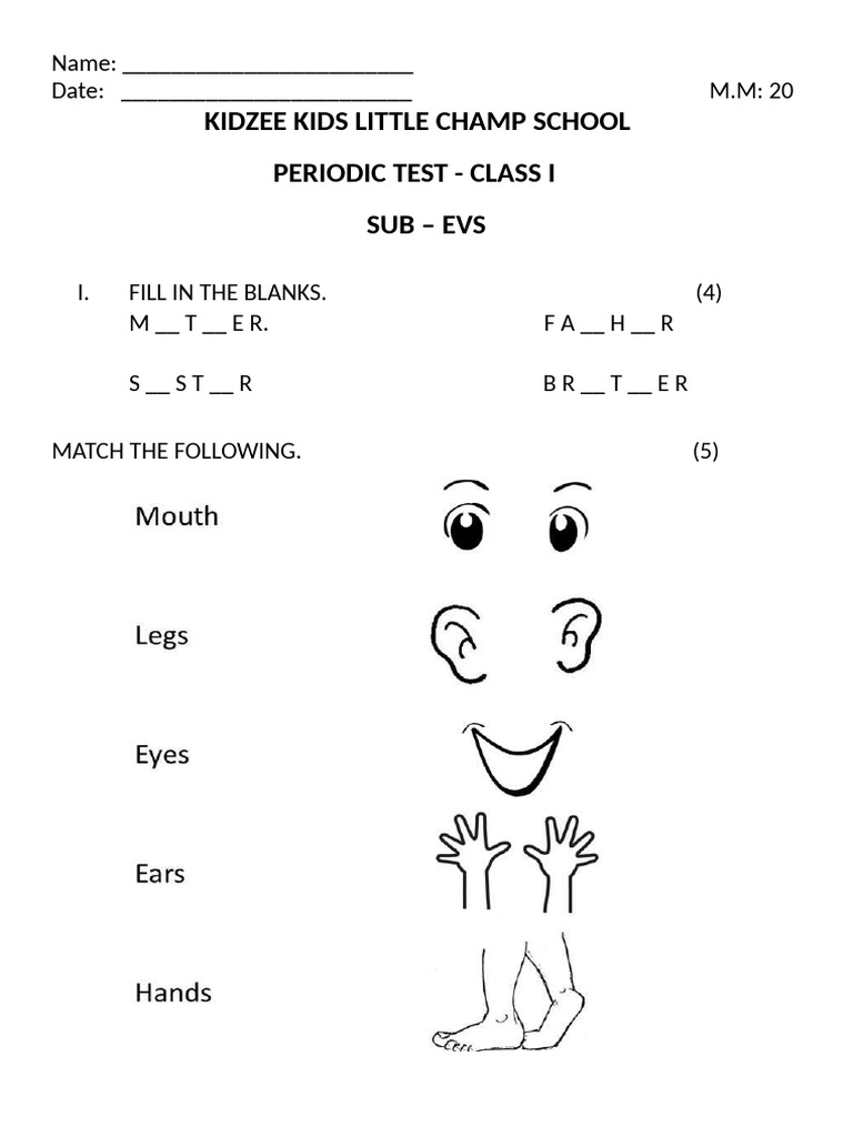 Class I EVS Periodic Test Worksheet | PDF