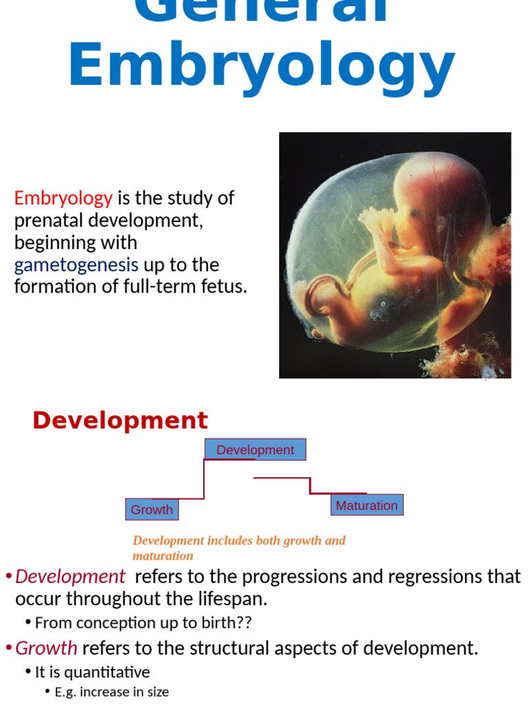 Capsella Embryo Development Overview | PDF | Meiosis | Anatomy
