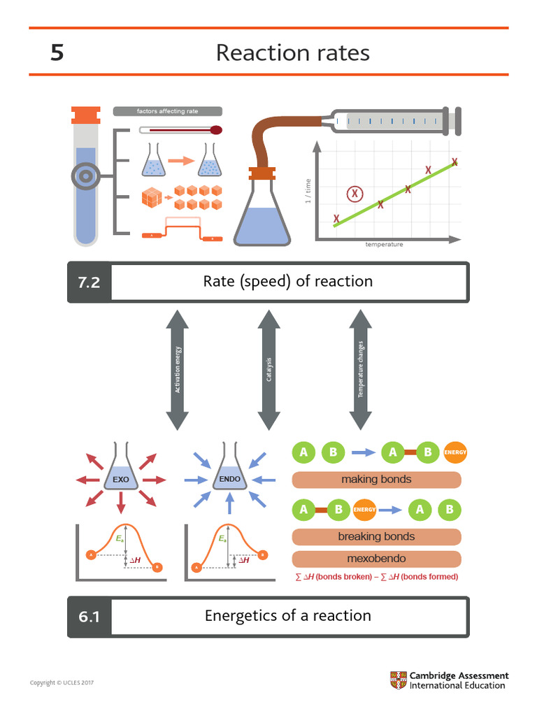 Reaction Rates and Energetics Explained | PDF | Organic Chemistry ...