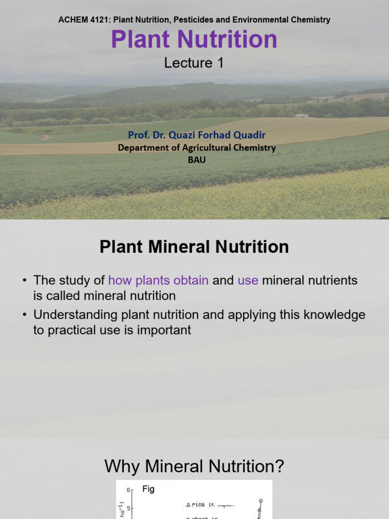 Plant Nutrition L1 2024-25 | PDF | Plant Nutrition | Cofactor ...