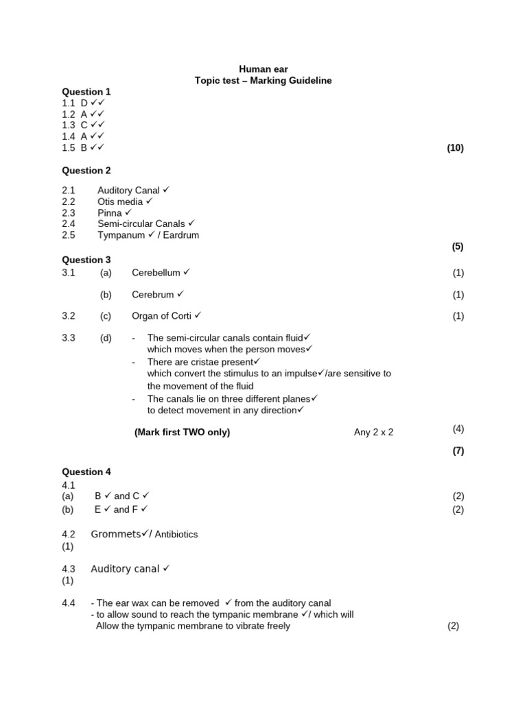 Human Ear Topic Test - Marking Guideline | PDF