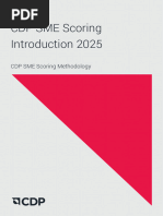 Scoring-Introduction CDP | PDF | Methodology | Risk