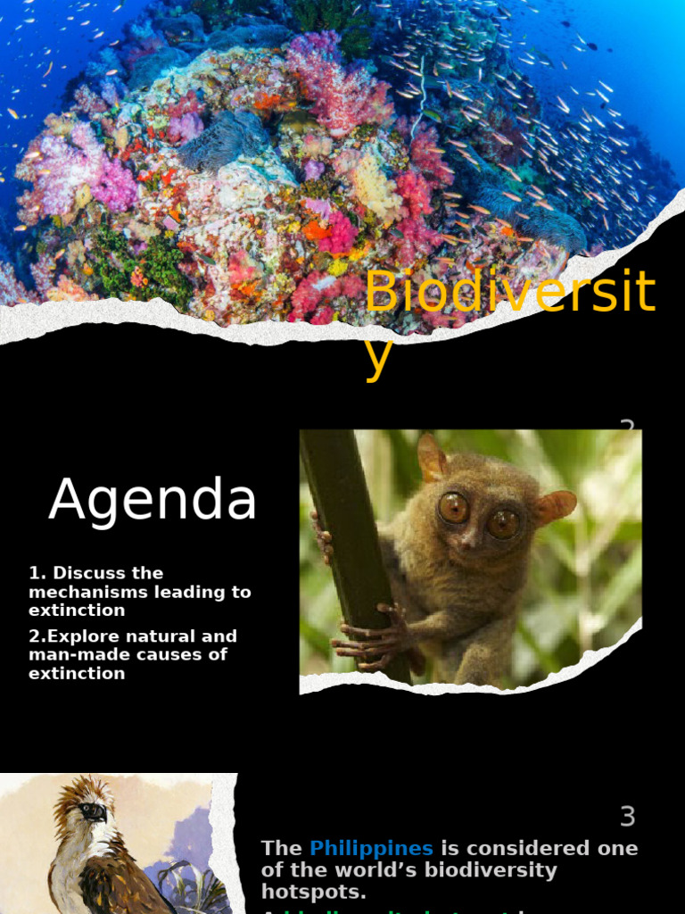 Causes of Species Extinction Explained | PDF | Extinction | Human ...