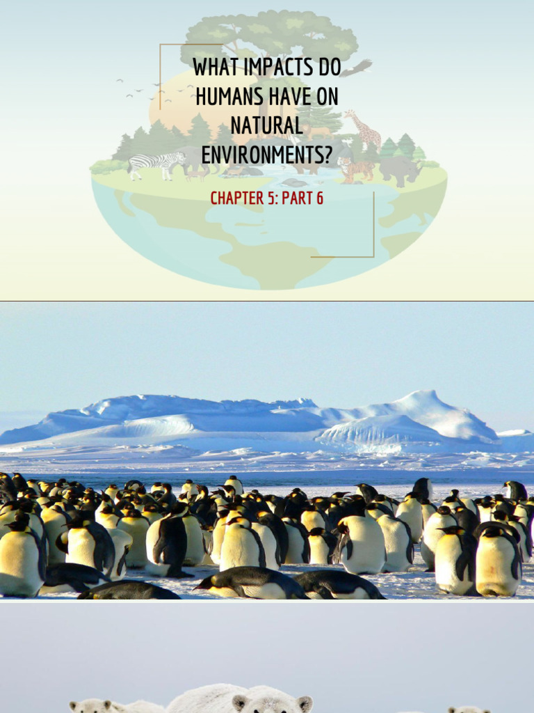 Myp - 4 - Chapter - 5.6 - 1 - (1) - 2 | PDF | Arctic | Earth Sciences