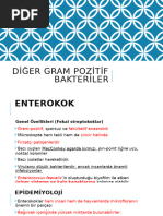 Tatarcik | PDF
