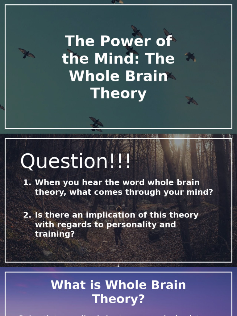 Understanding Whole Brain Theory | PDF | Mind | Limbic System