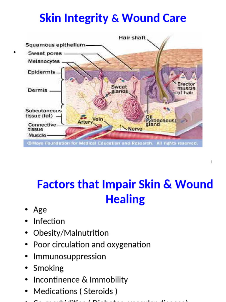 Skin Integrity And Wound Care Guide Pdf Wound Diseases And Disorders