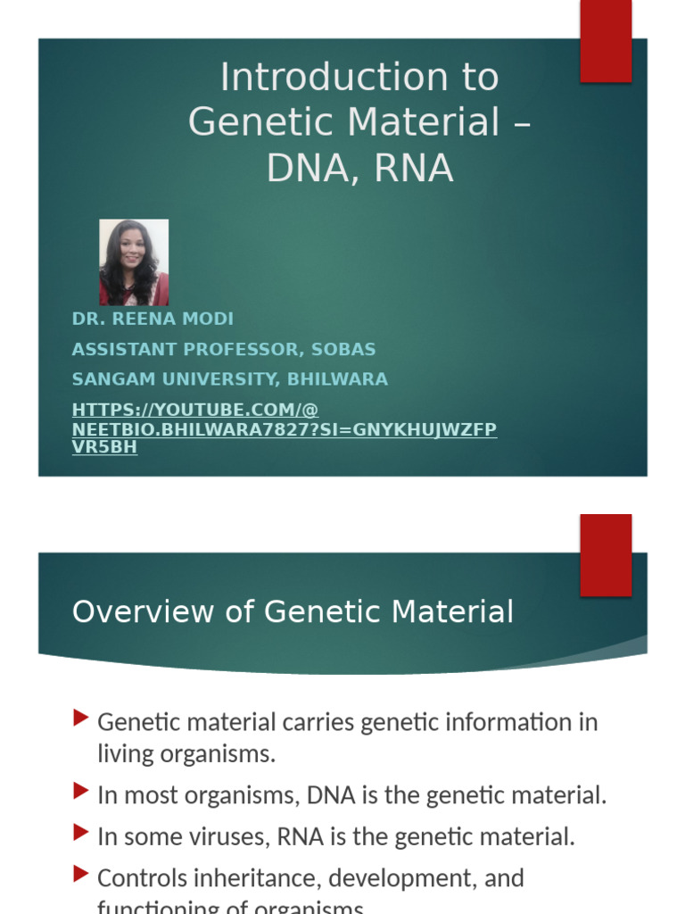 Overview of DNA and RNA Structures | PDF | Nucleic Acids | Dna