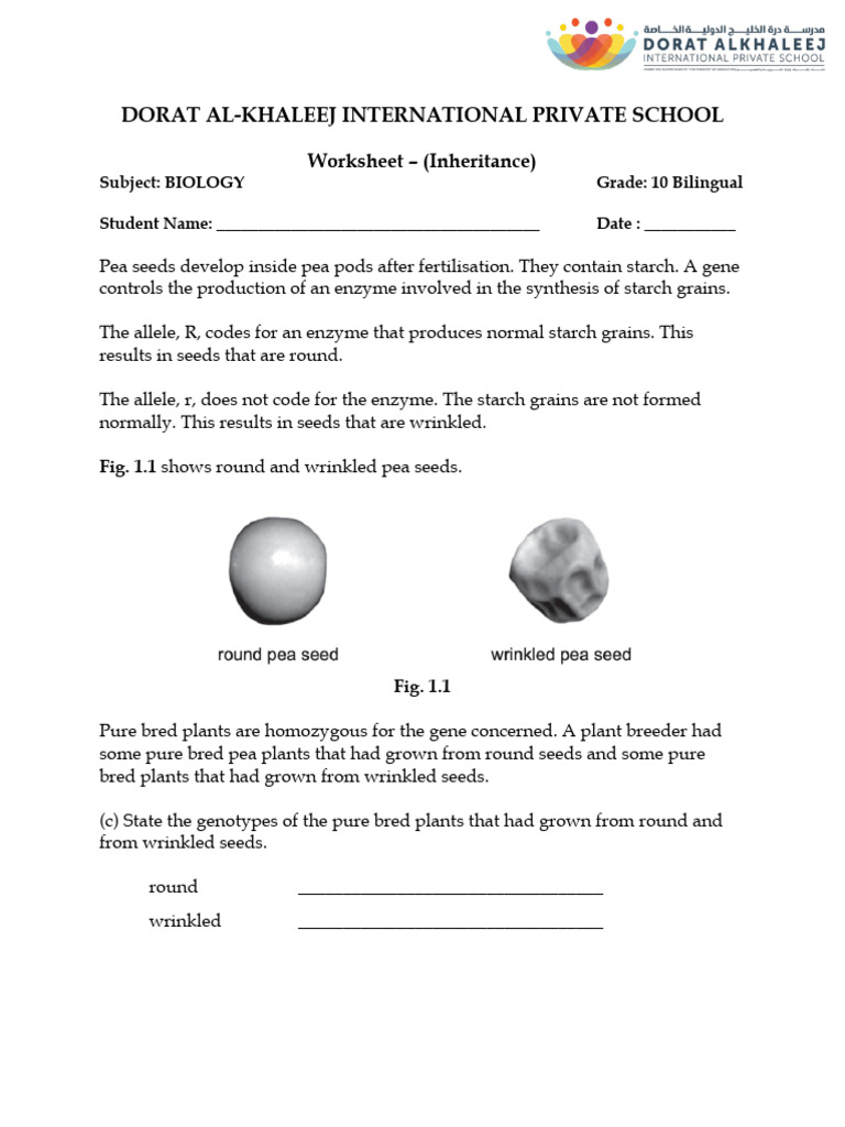 Worksheet - (Inheritance) | PDF