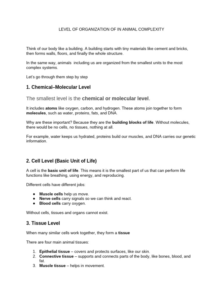 Levels of Organization in Animals | PDF | Human Body | Tissue (Biology)