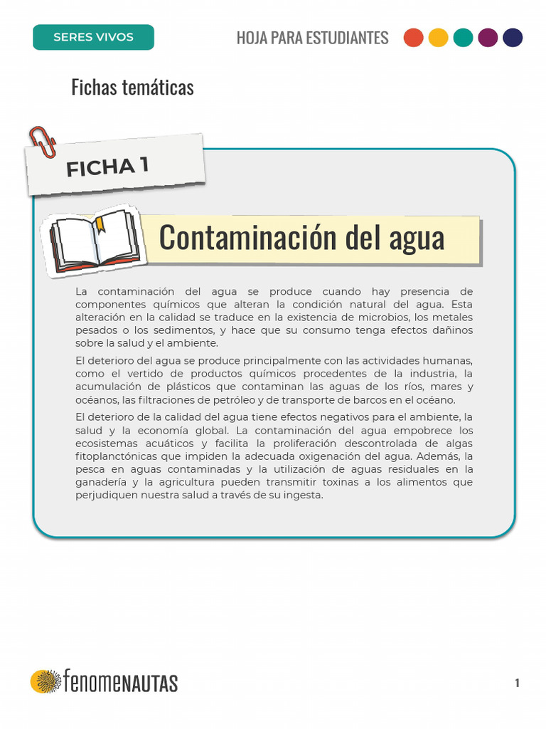 Fichas Temáticas Causas y Consecuencias Contaminacion | PDF | Contaminación | Deforestación