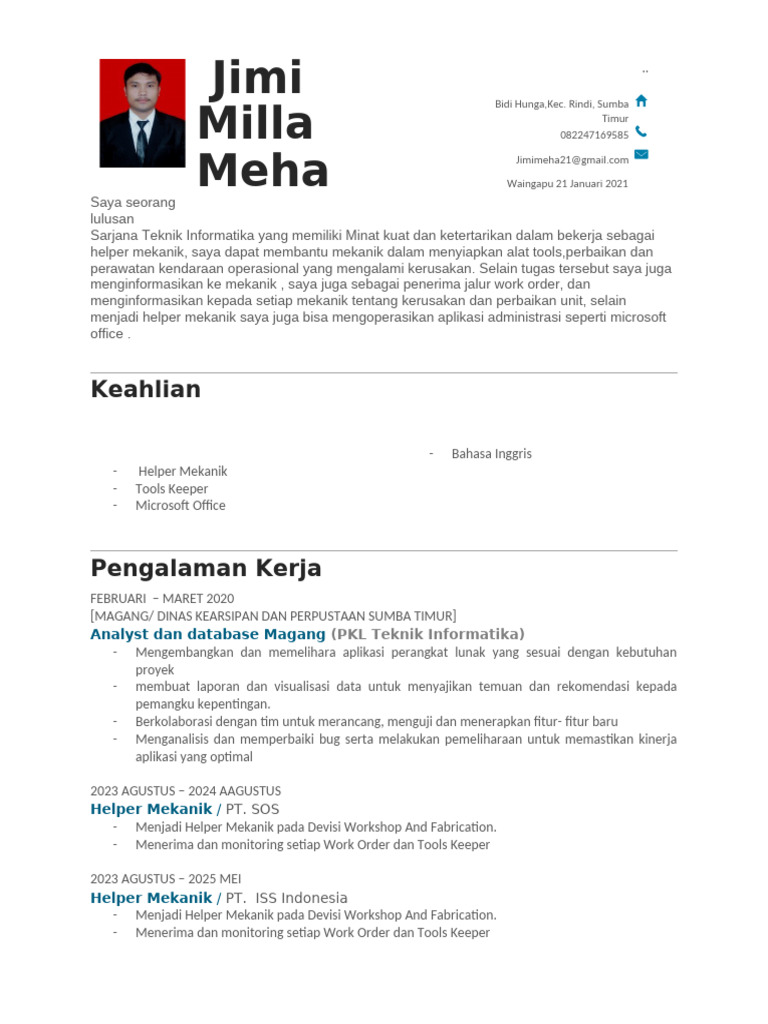 Free Template CV Lulusan s1 by Vina Muliana (1) - 1 | PDF
