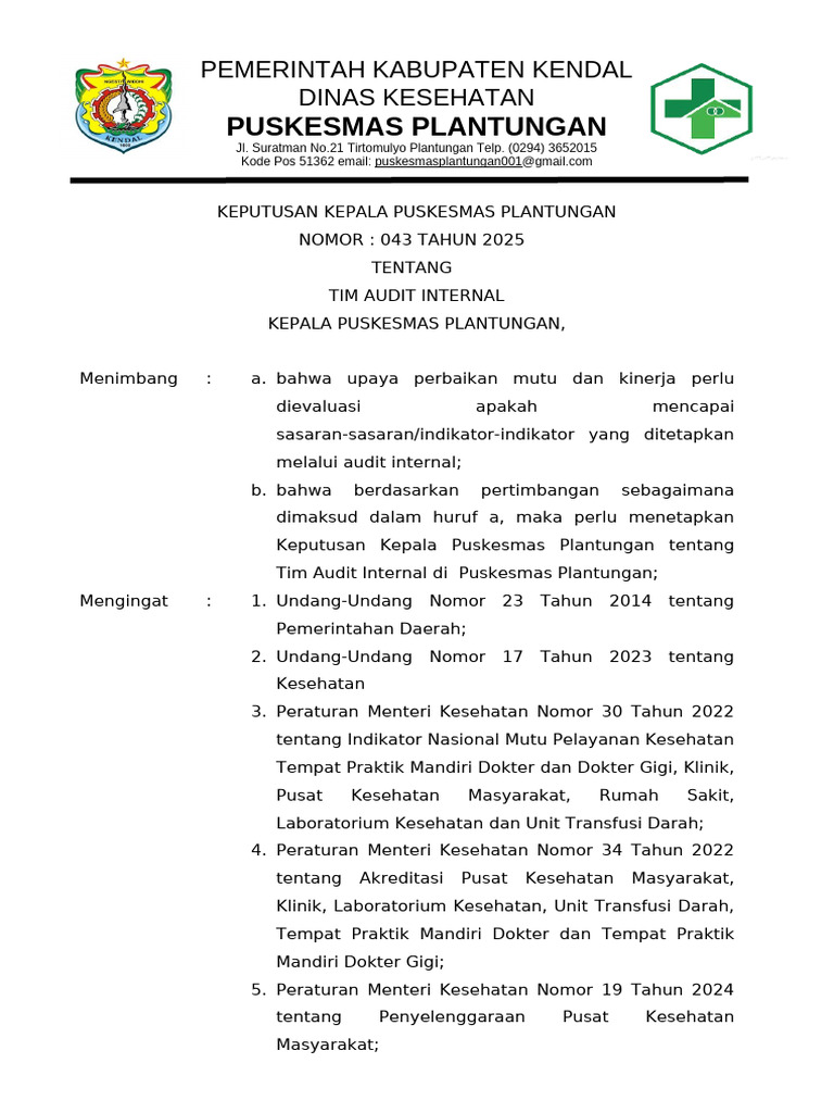Tim Audit Internal Puskesmas 2025 | PDF