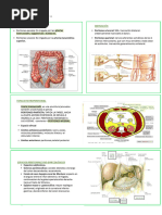 Patología Retroperitoneal: Revisión y Anatomía | PDF | Sarcoma | Cáncer